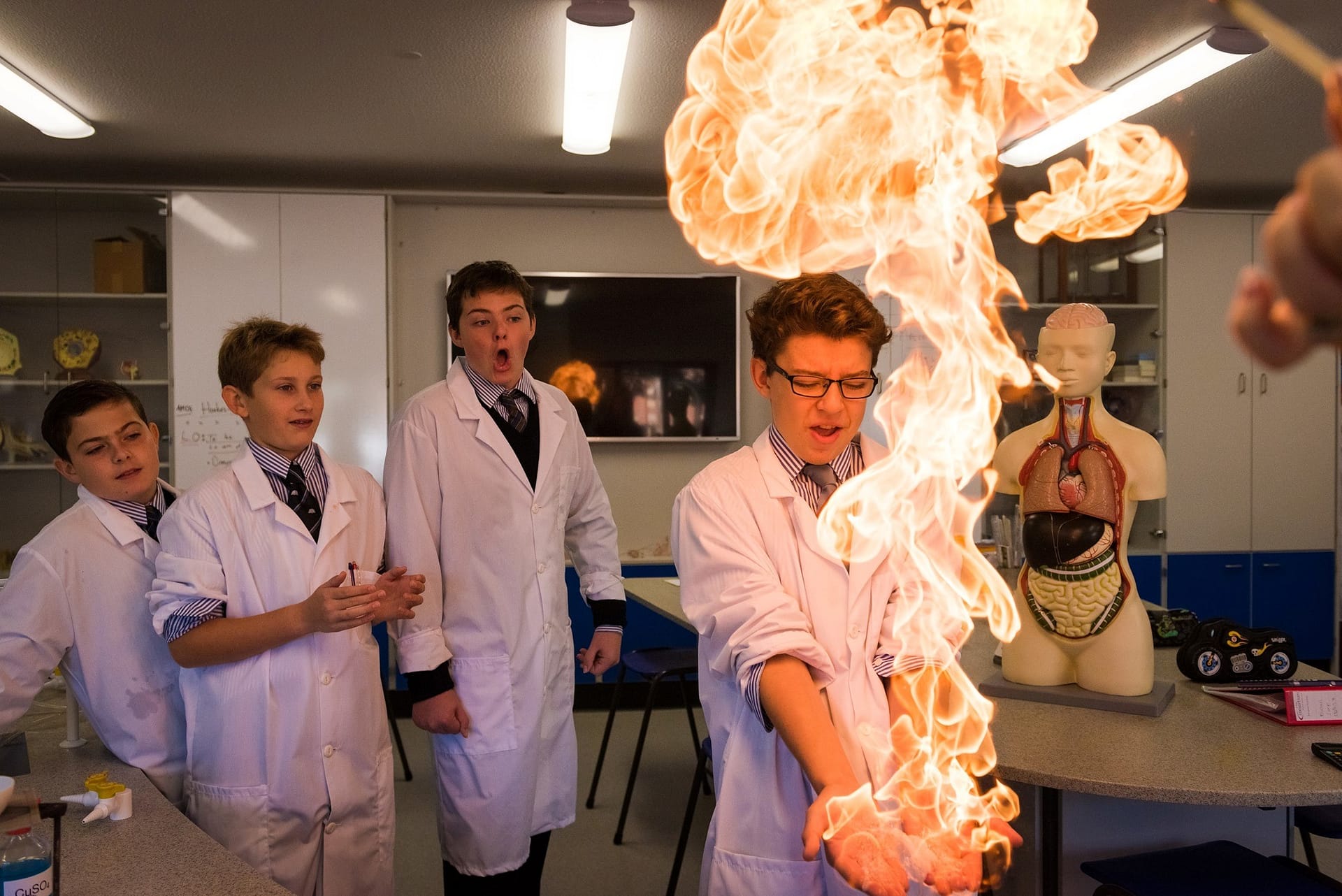 Intellego - Intellego